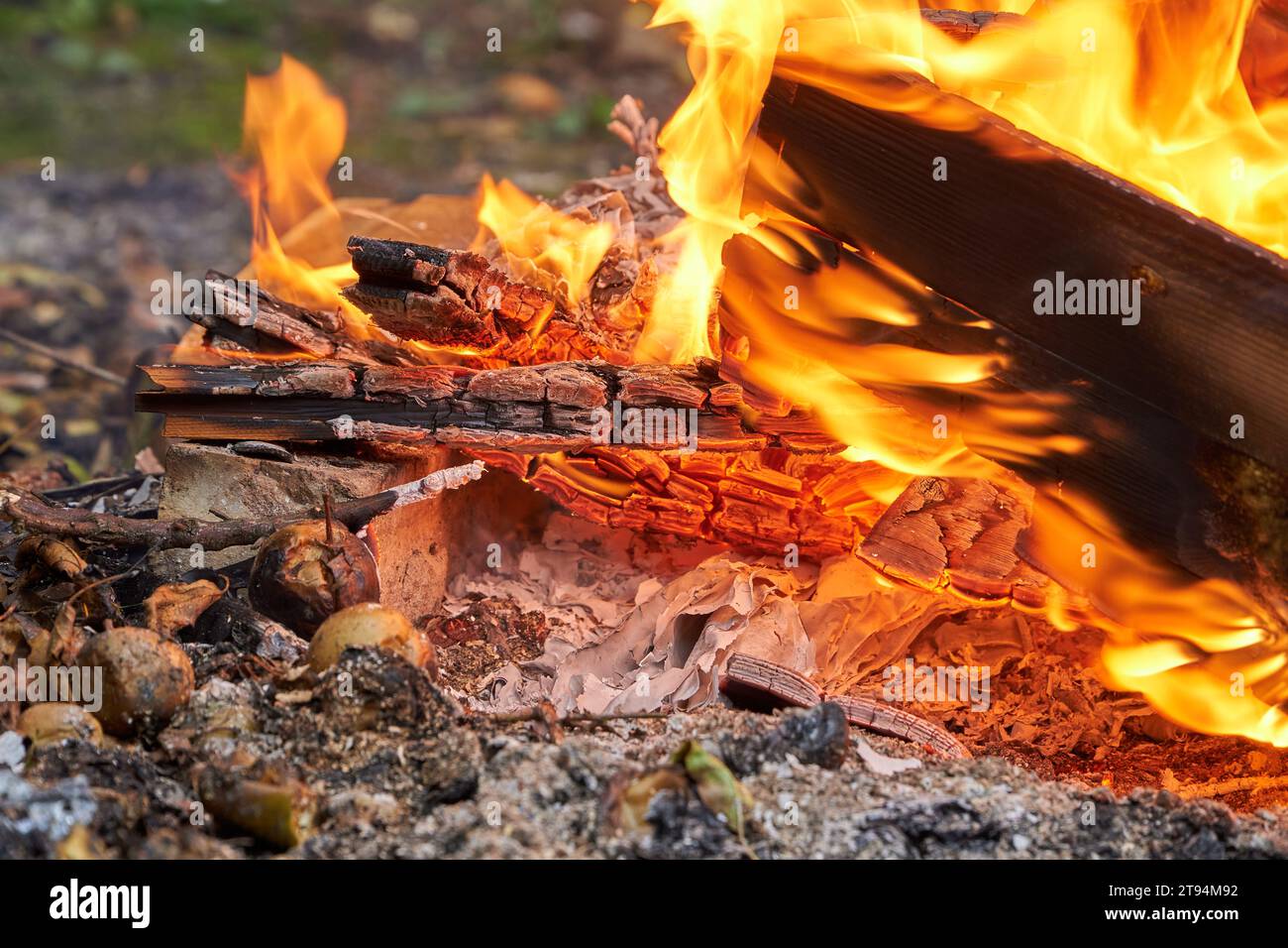 Wood burning on a garden bonfire Stock Photo - Alamy