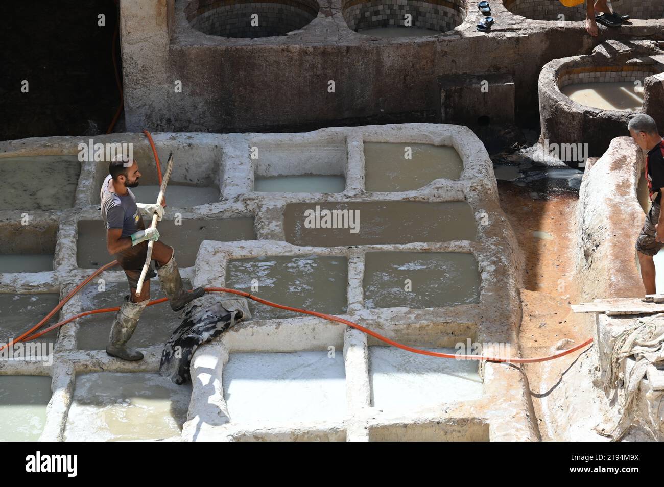 Workers in the historic tanning pools in Fez. Medieval-looking working ...