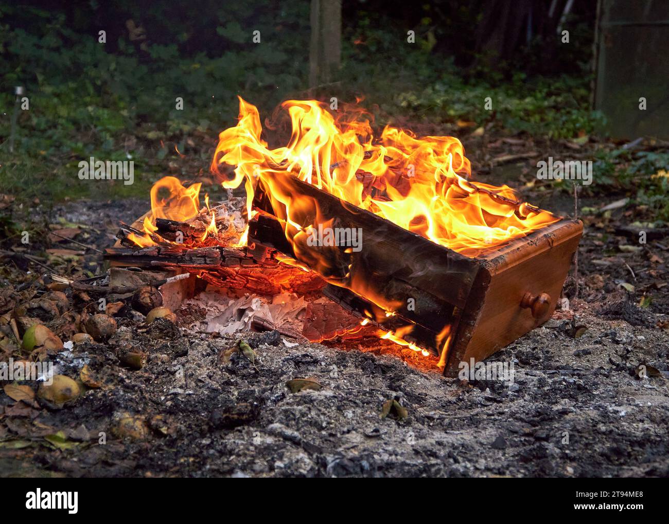 Wood burning on a garden bonfire Stock Photo - Alamy