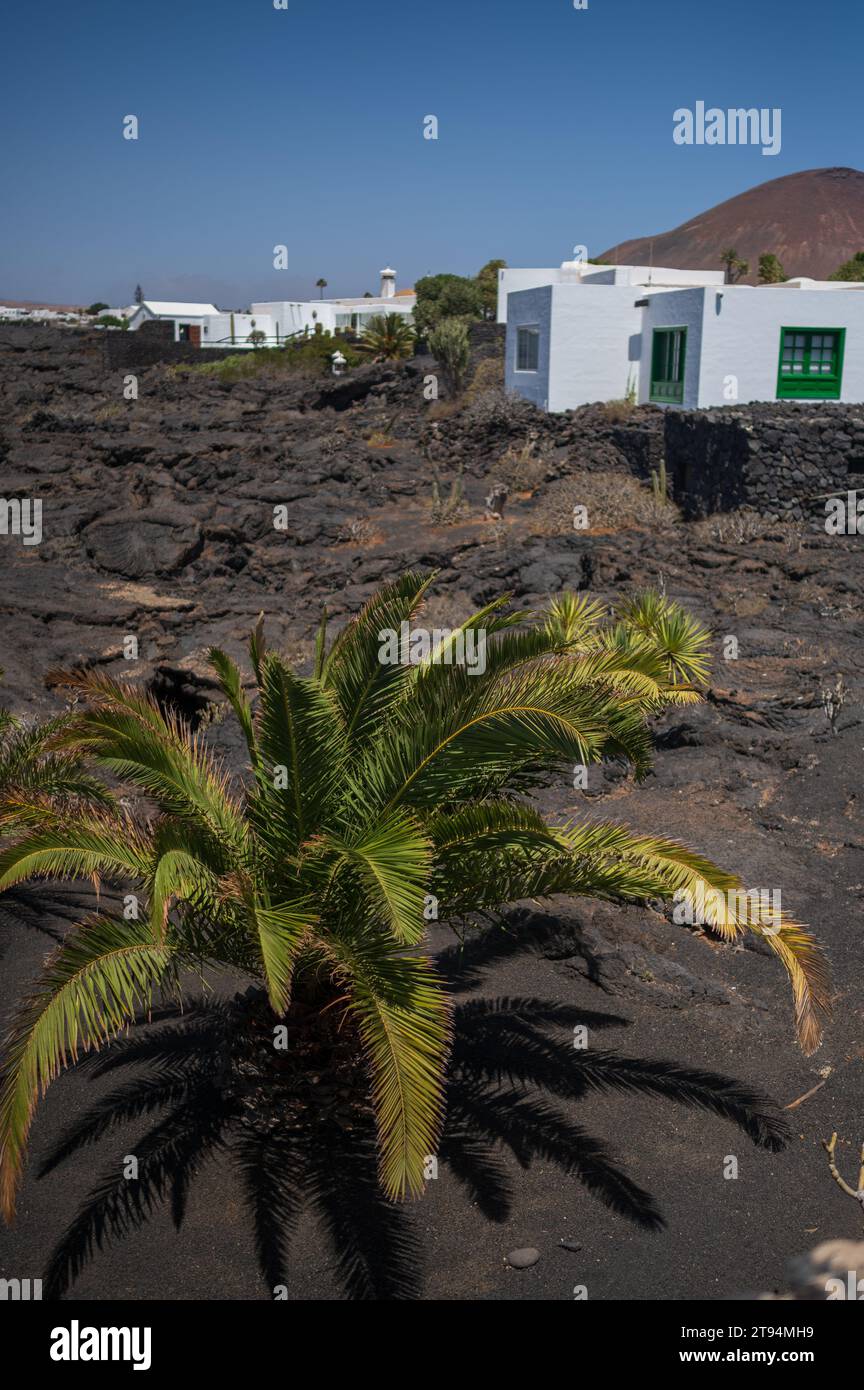 Islands canary culture hi-res stock photography and images - Alamy
