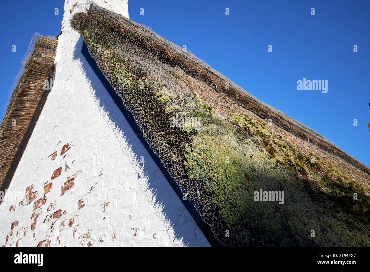 gable wall with thatched roof overgrown with moss and encased in wire ...