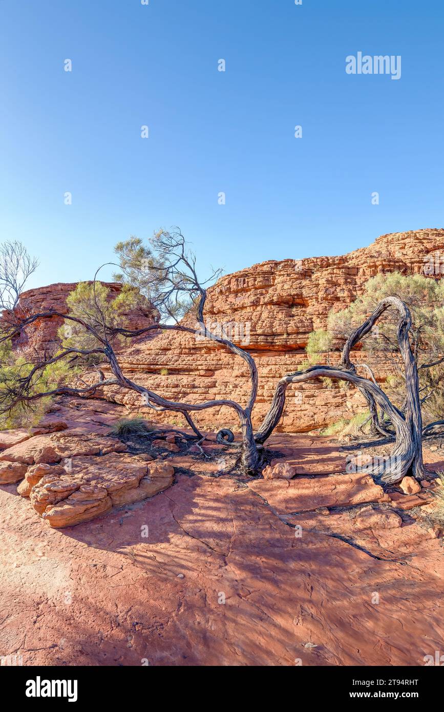 A remote dry landscape in Kings Canyon, Northern Territory, Australia ...