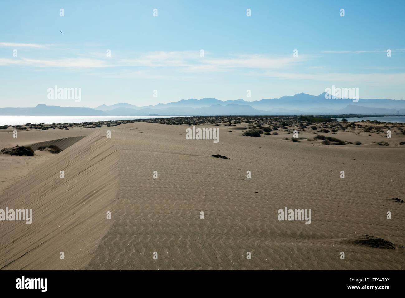 Dunes of El Mogote in La Paz, with the Gulf of California in the ...