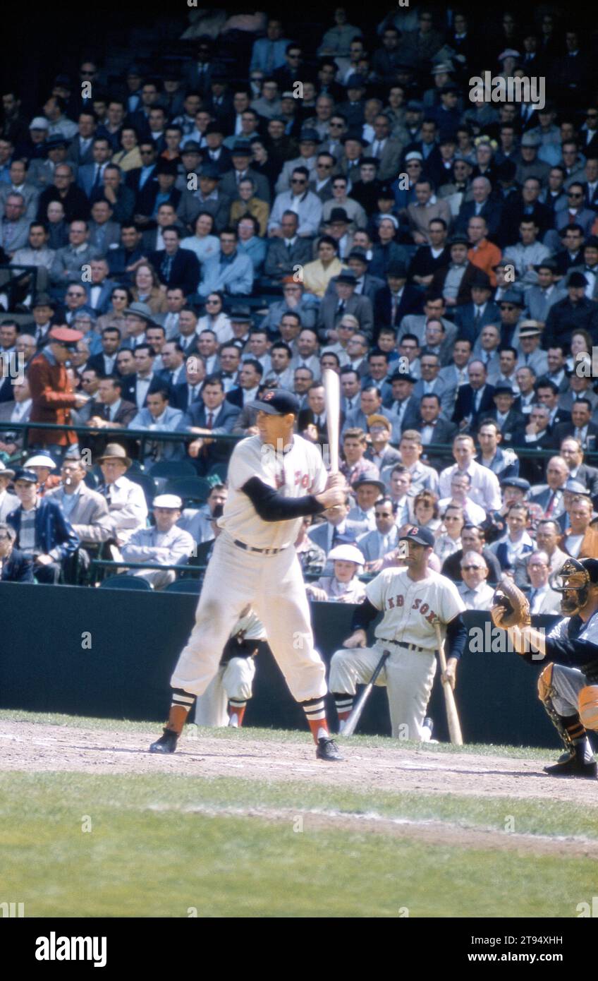 BOSTON, MA - 1956: Ted Williams (1918-2002) #9 of the Boston Red Sox bats during an MLB game ...