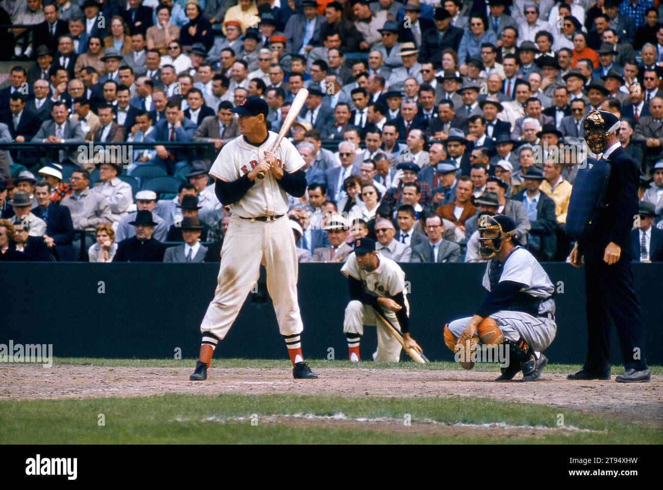 BOSTON, MA - 1956: Ted Williams #9 of the Boston Red Sox bats during an ...