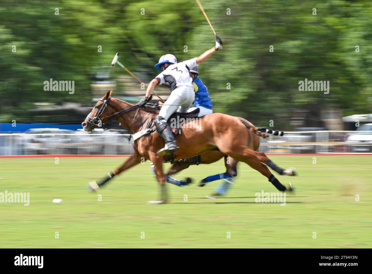 Argentine open polo hi-res stock photography and images - Alamy