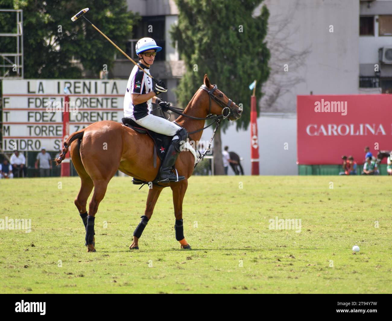 Argentine open polo hi-res stock photography and images - Alamy