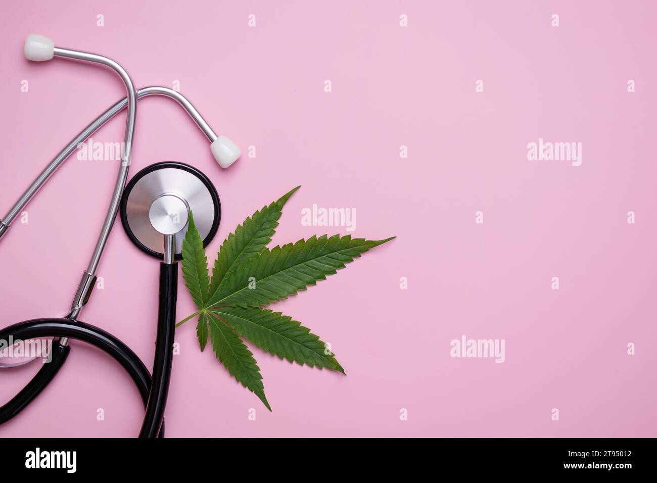 Medical cannabis leaf near and stethoscope top view on pink background ...