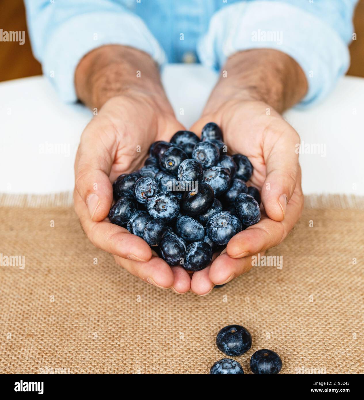 Blueberries in male hands hi-res stock photography and images - Alamy