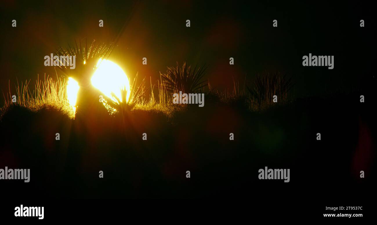 Immense late-day sun sets beyond a nearby hill top with a variety of ...