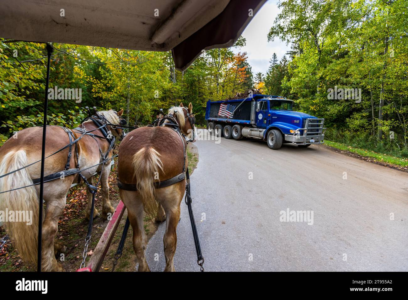 A surprising sight on Mackinac Island. Horse-drawn carriage meets truck ...