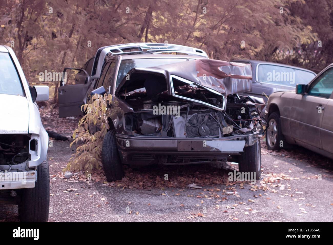 infrared image of the unrecognizable and wrecked cars beyond repair ...
