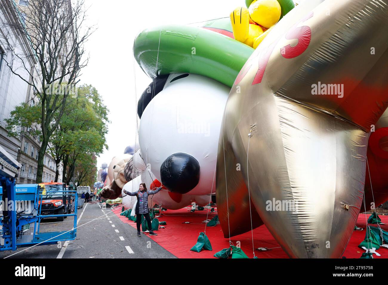 New York, United States. 22nd Nov, 2023. People stop to enjoy the ...