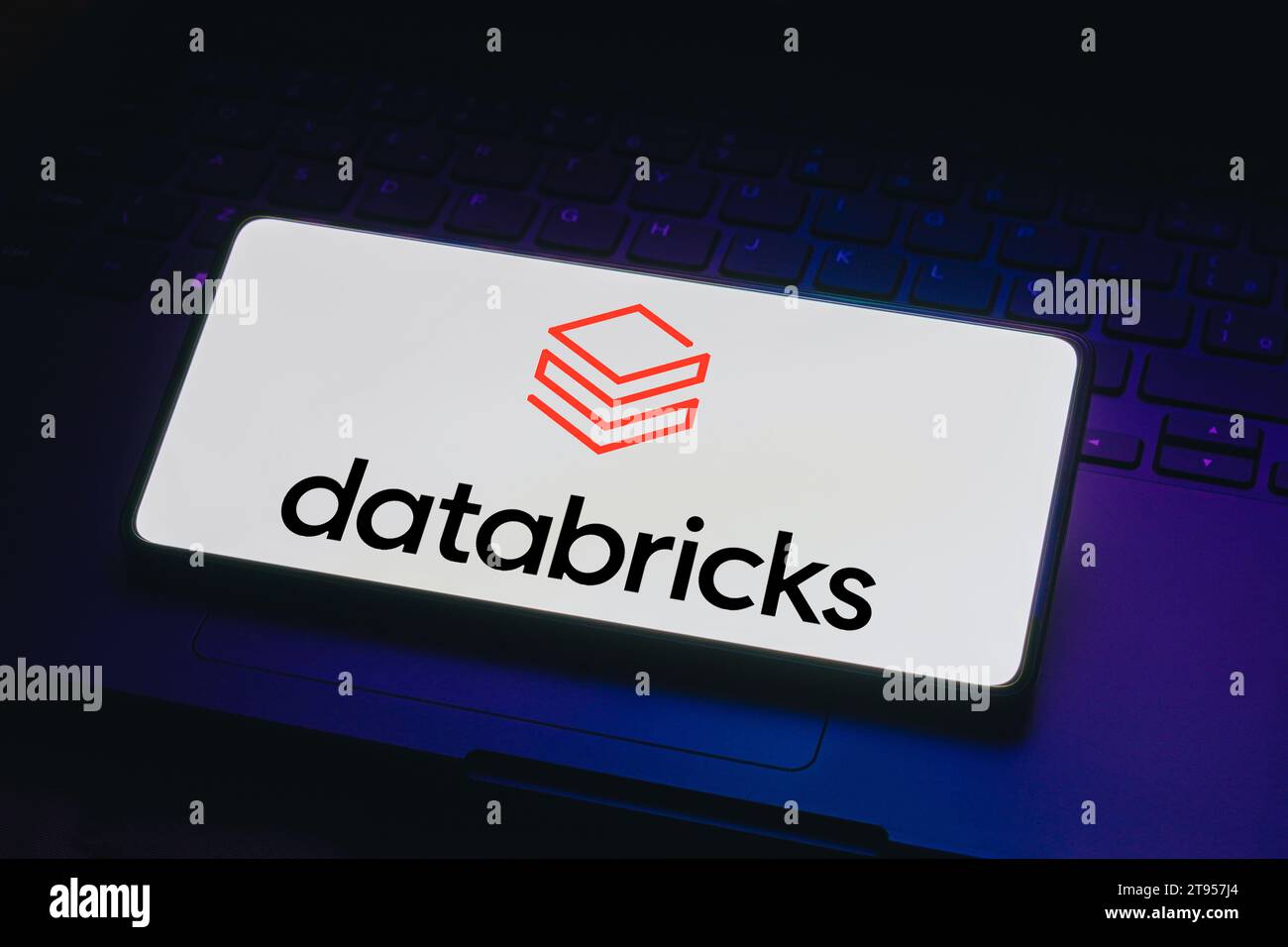 Brazil. 22nd Nov, 2023. In this photo illustration, the Databricks logo ...