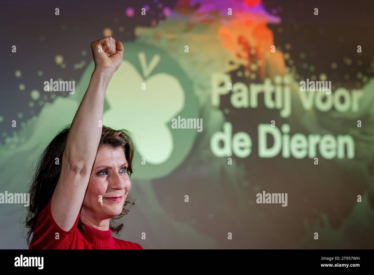 Partijvoordedieren hi-res stock photography and images - Alamy