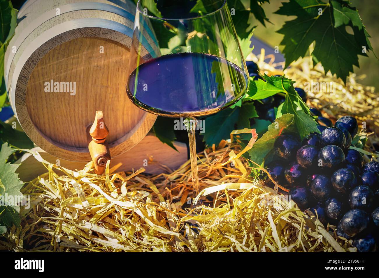 wine glass and cask, black grapes and straw Stock Photo - Alamy