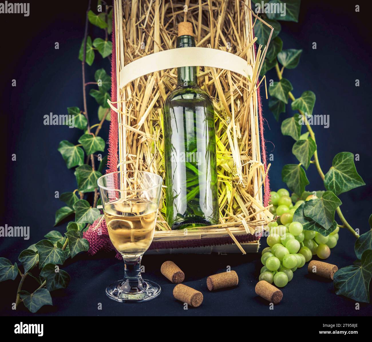 grape-vine, vine (Vitis vinifera), bottle of white wine in a straw box ...