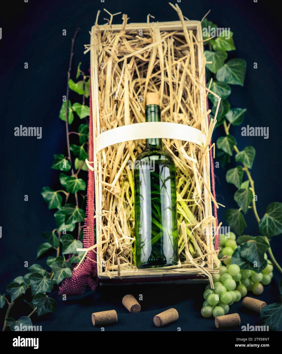 grape-vine, vine (Vitis vinifera), bottle of white wine in a straw box ...