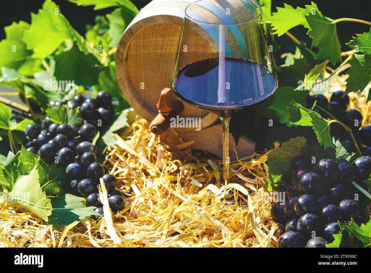 wine glass and cask, black grapes and straw Stock Photo - Alamy
