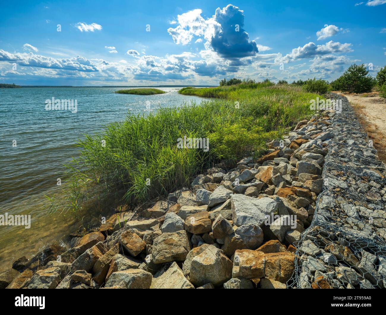 shore of lake Partwitzer See, former brown coal mining area, Germany ...
