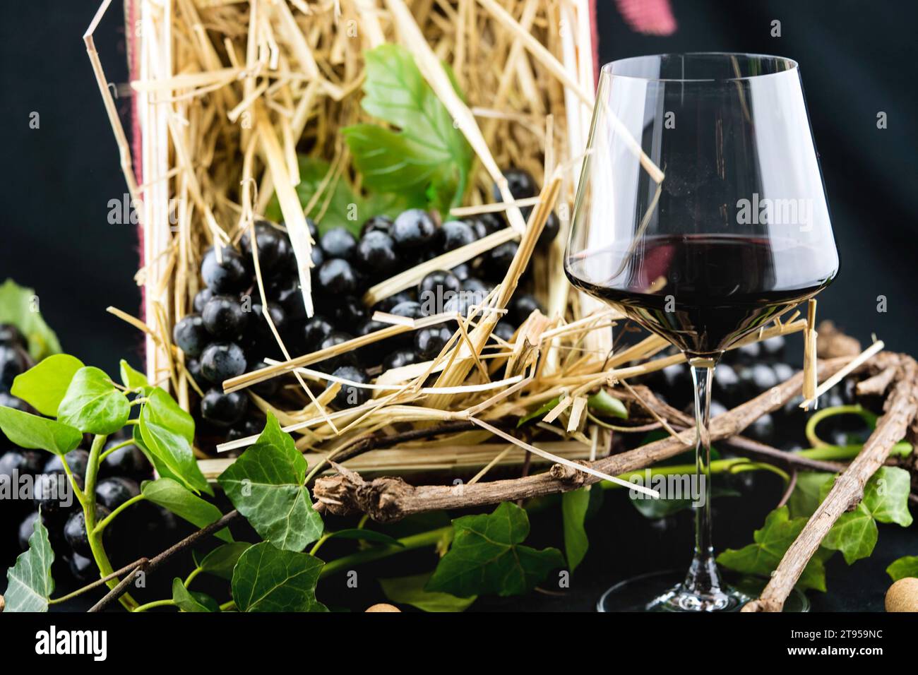 Wine glasses and ivy hi-res stock photography and images - Alamy