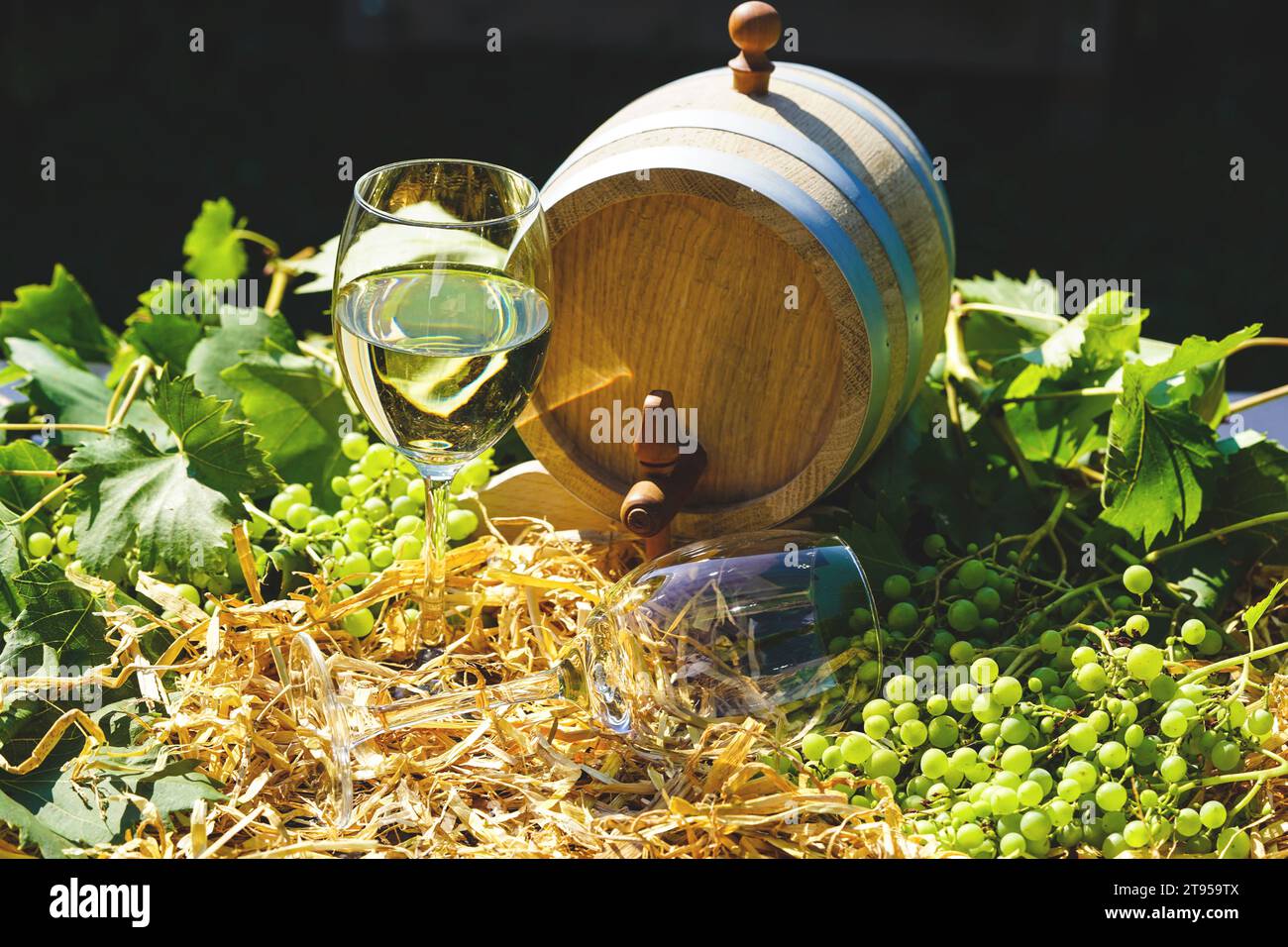 wine glass and cask, green grapes and straw Stock Photo - Alamy