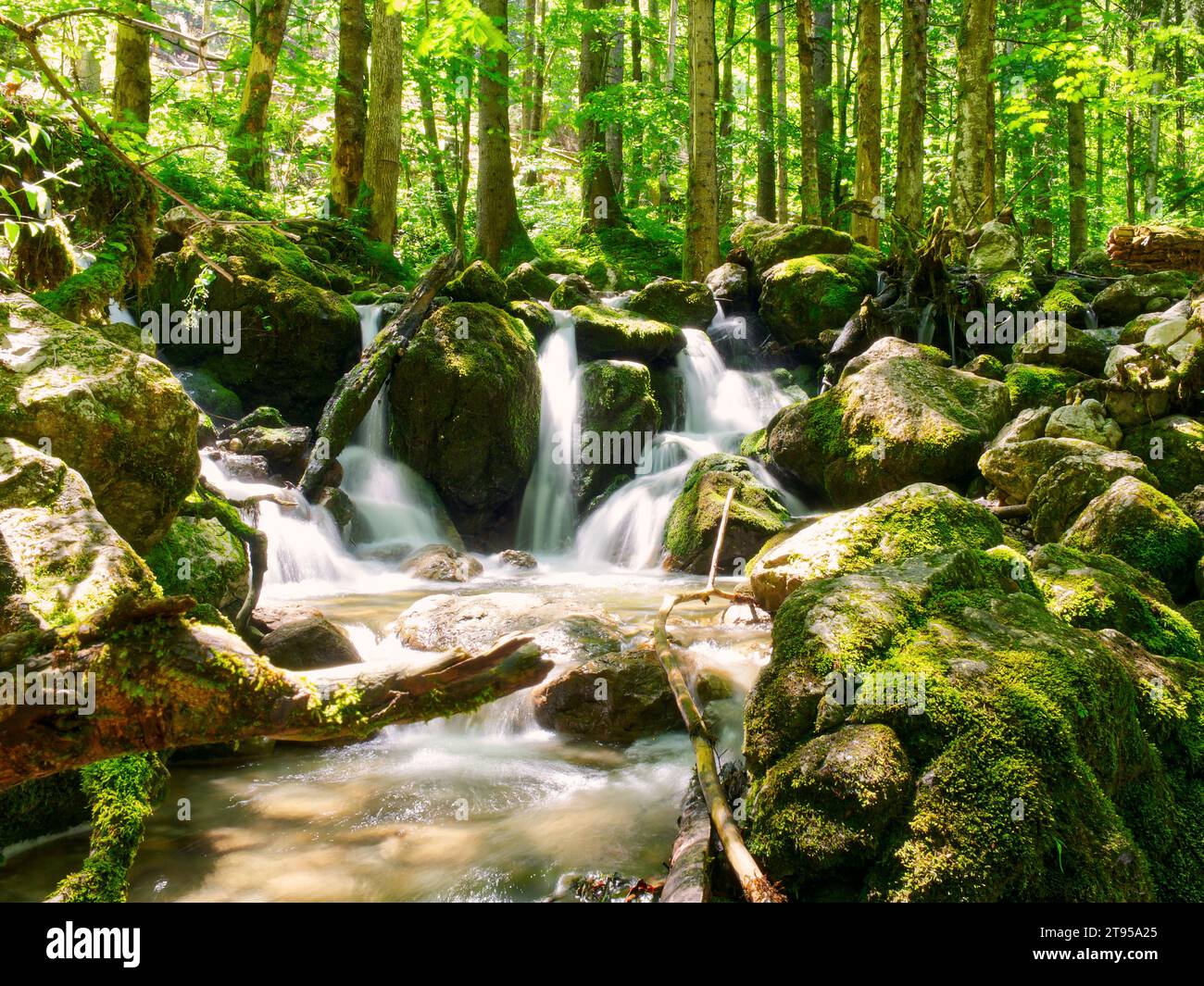 Waterfall long exposure forest sunlight Stock Photo - Alamy