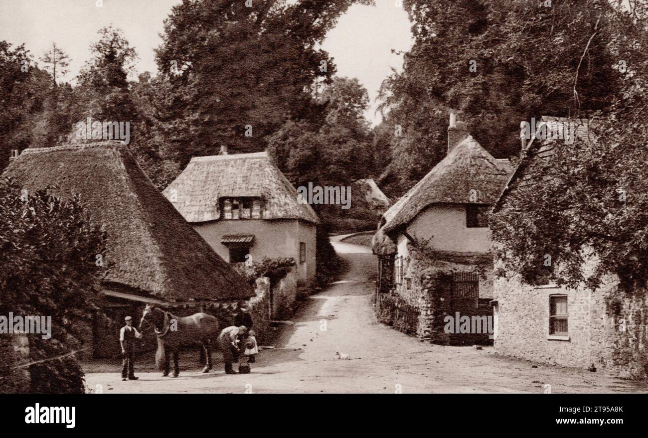Hiouchi State Park, California USA, approx 1920s-30s postcard ...