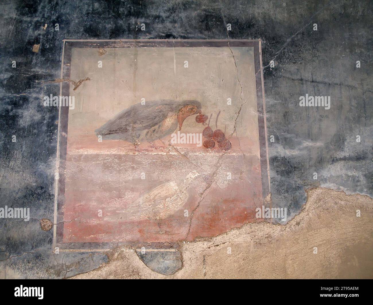 colorful ancient fresco wall painting of a bird and berries in the ...