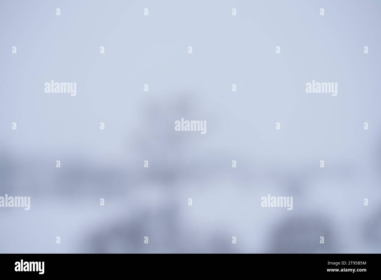 winter blurred background with trees. High quality photo Stock Photo ...