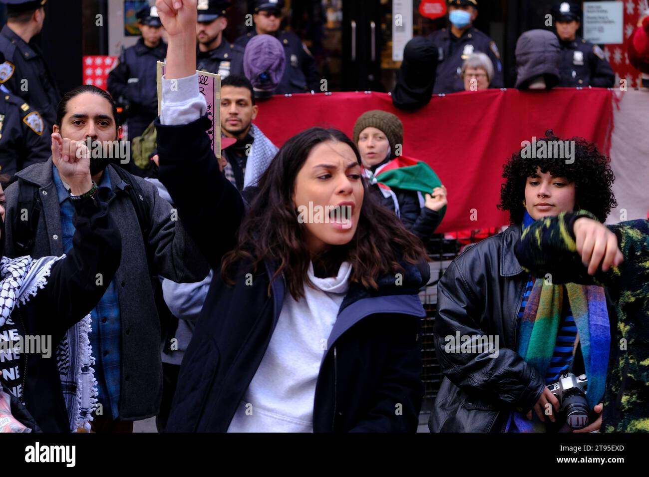 New York City, NY -November 22: Hundreds of Pro-Palestine protestors ...