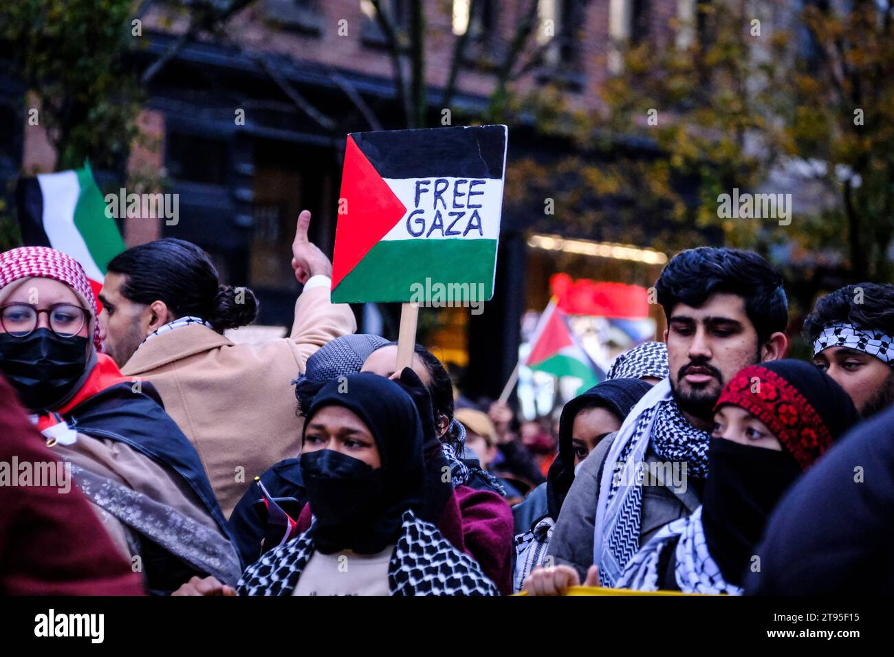 New York City, NY -November 22: Hundreds of Pro-Palestine protestors ...