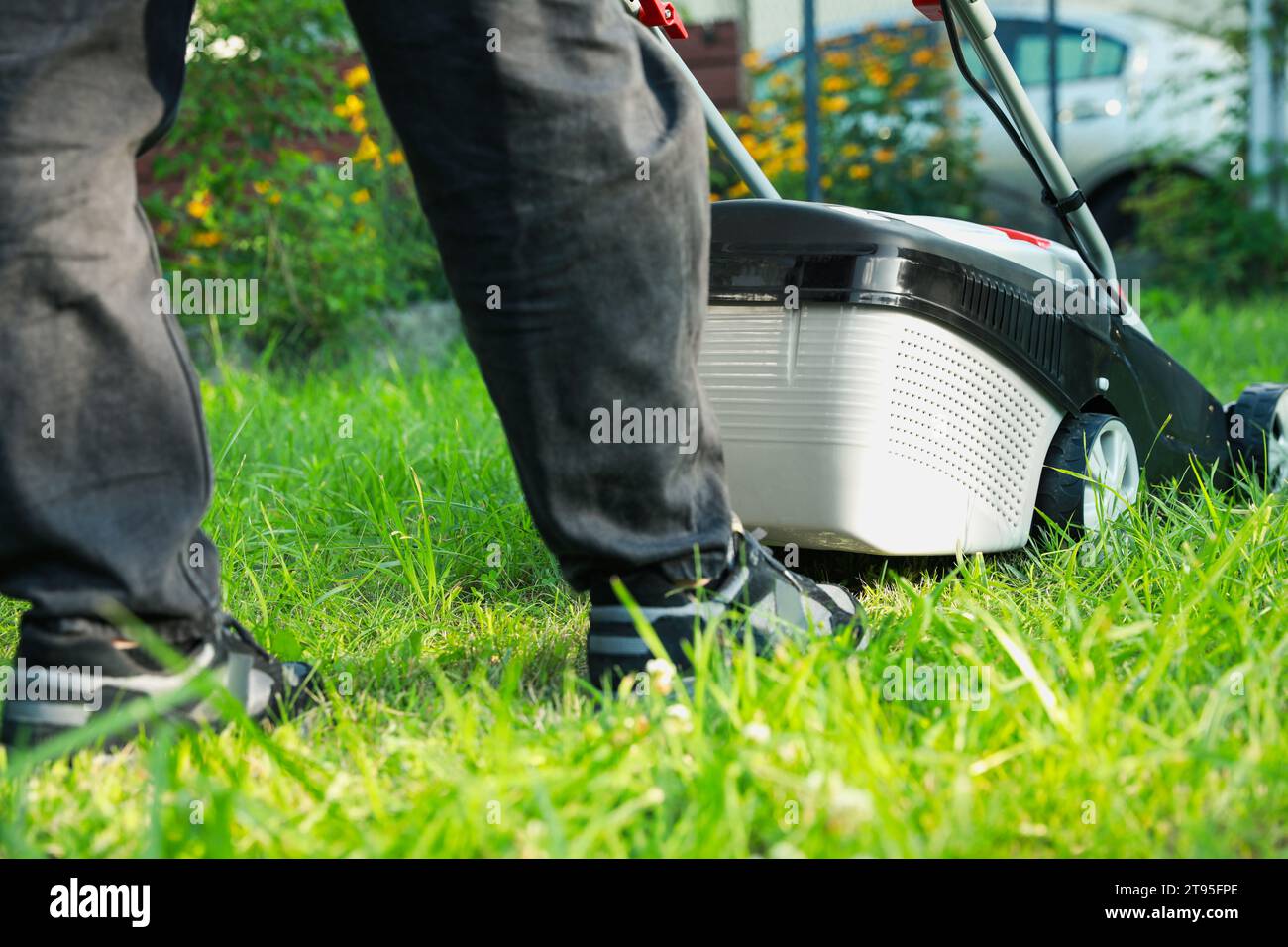 Man cutting grass with lawn mower in garden, closeup Stock Photo - Alamy