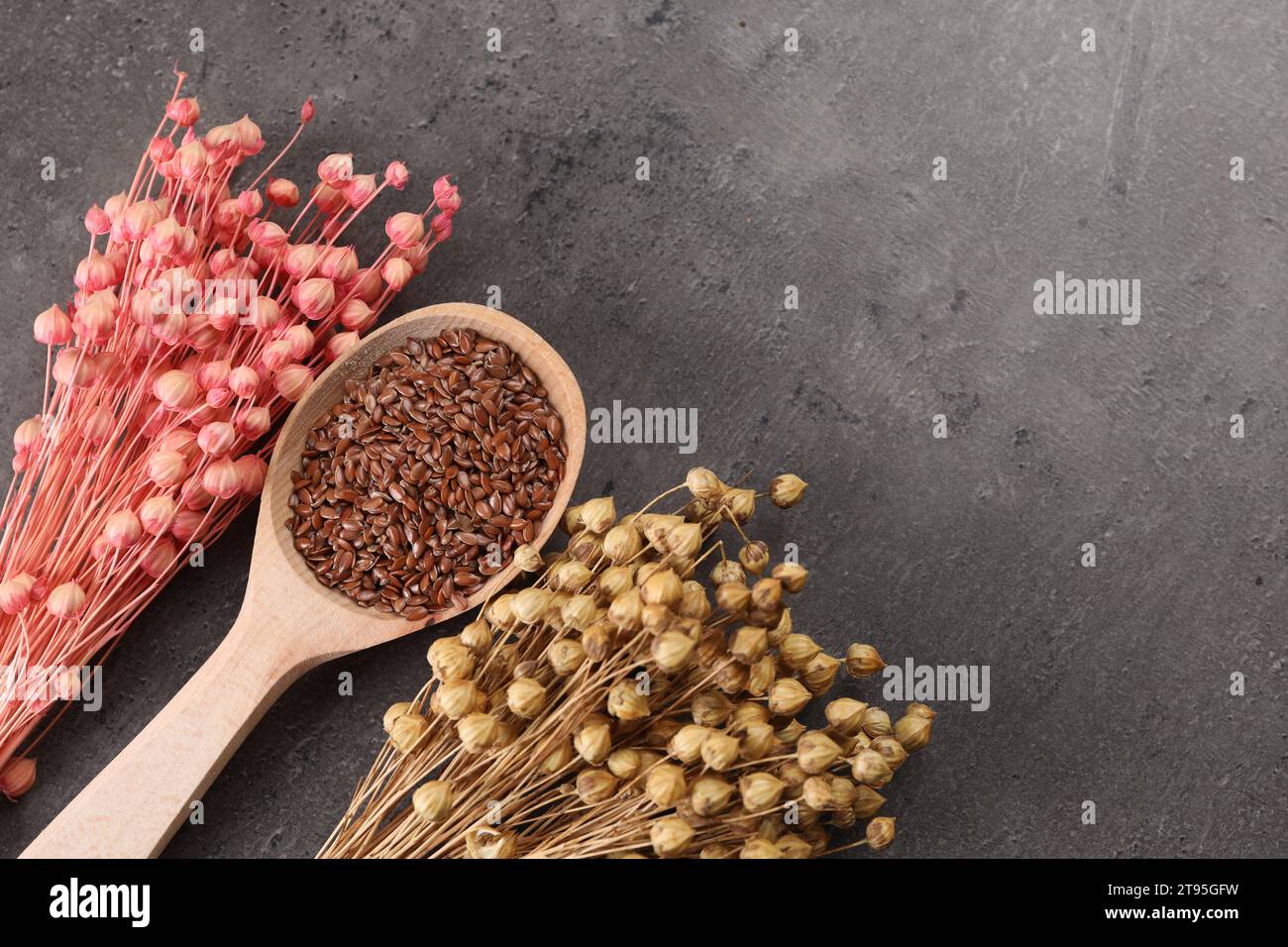 Dry flax plants and seeds on grey table, flat lay. Space for text Stock ...
