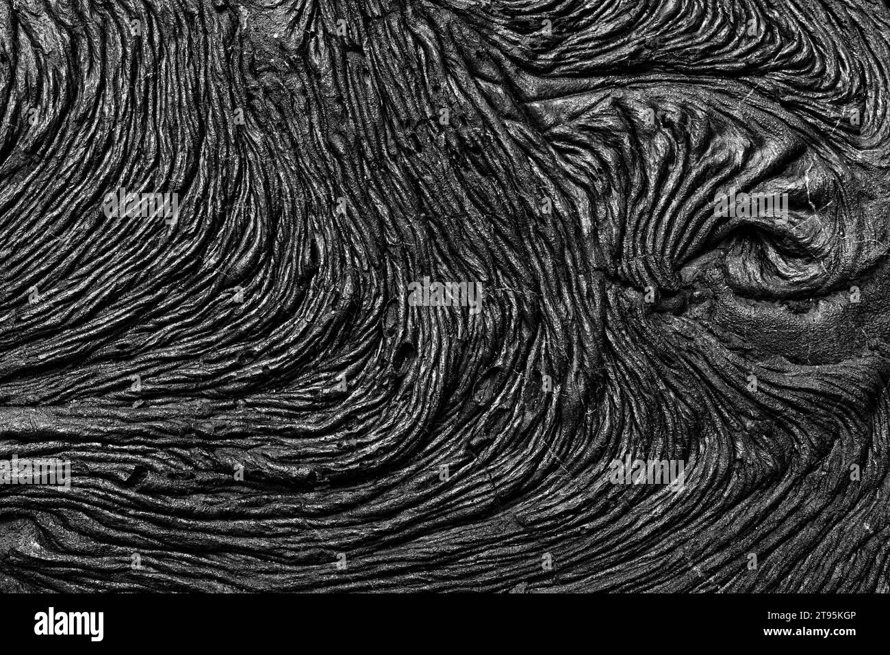 Background: nature's art graphic resource. A monochrome scene of a ...