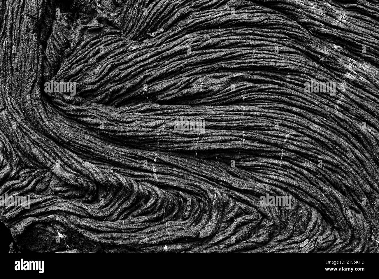 Background: nature's art graphic resource. A monochrome scene of a ...