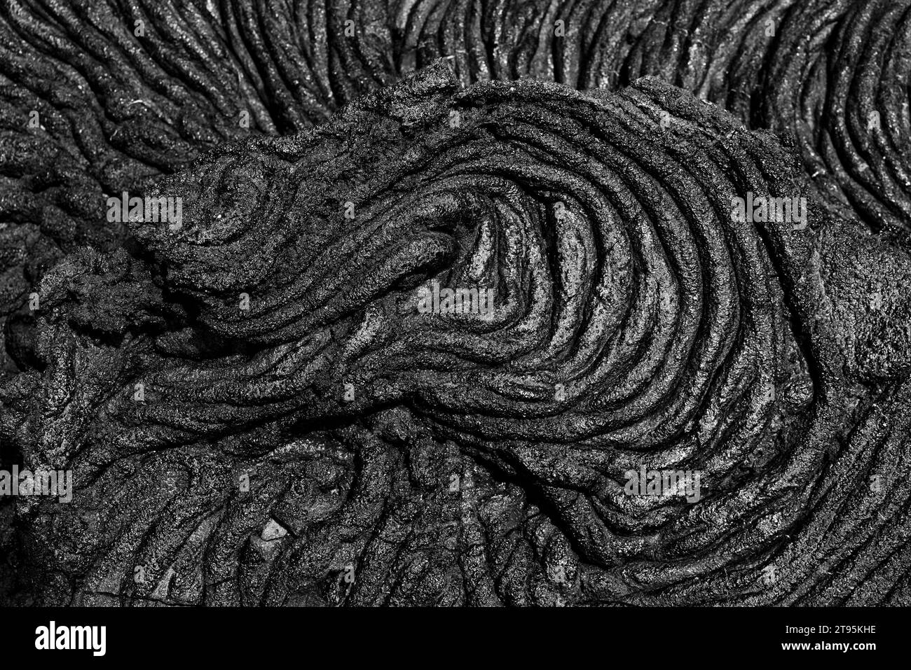 Background: nature's art graphic resource. A monochrome scene of a ...