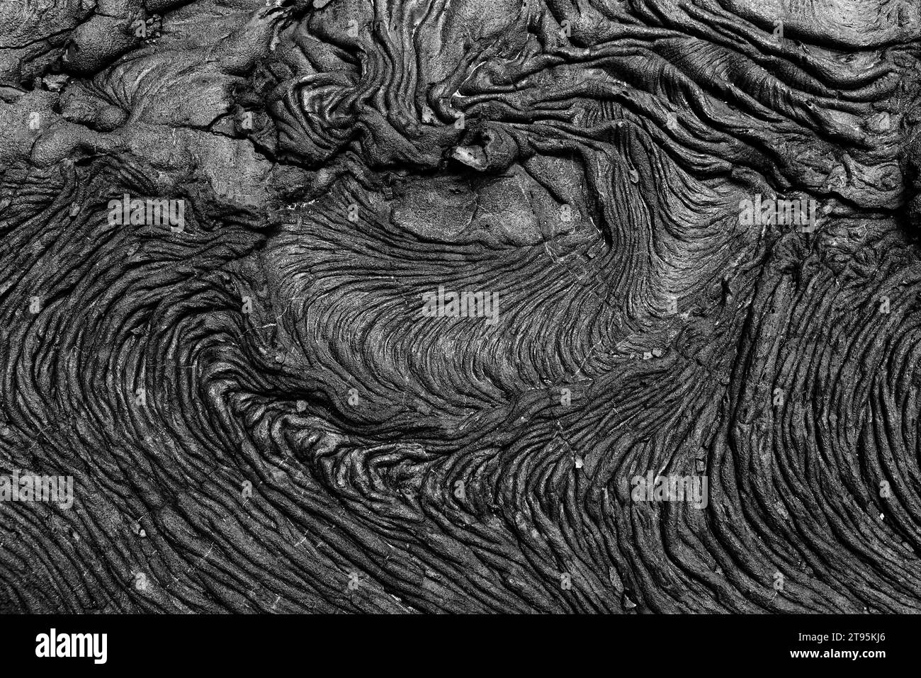 Background: nature's art graphic resource. A monochrome scene of a ...