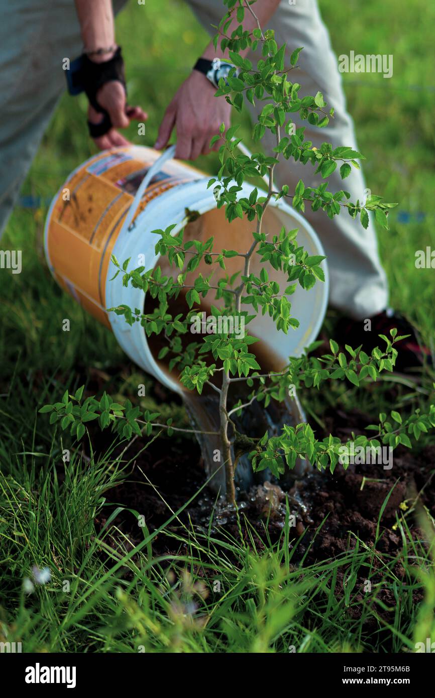 Cultivationwork hi-res stock photography and images - Alamy