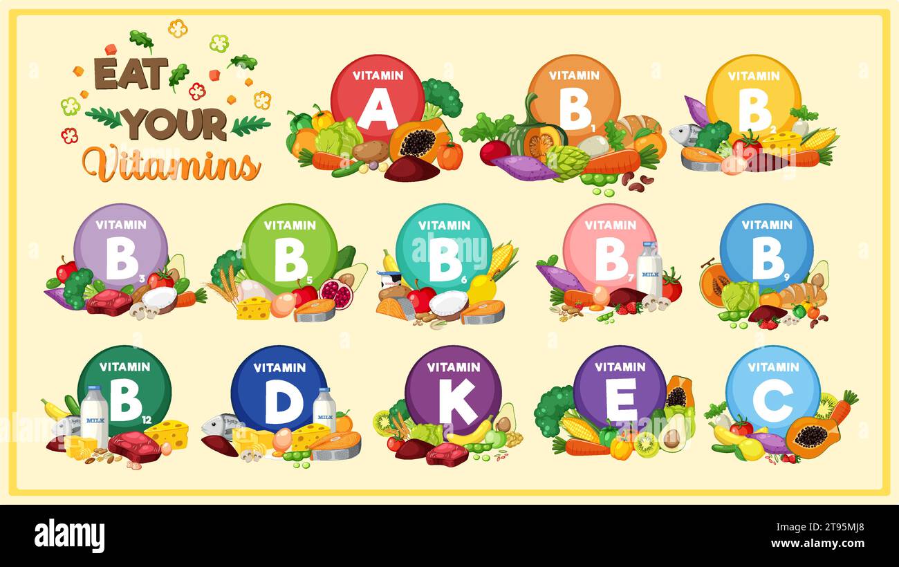 Illustration showcasing different food groups categorized by their ...