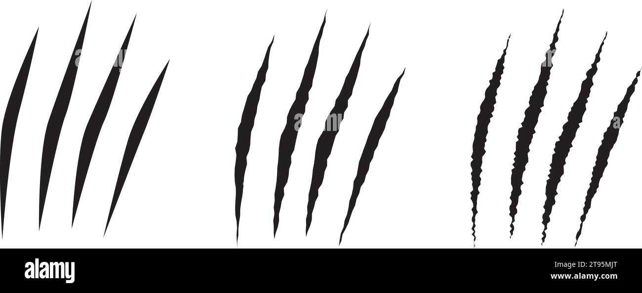 Three cat scratches set with different sharp condition Stock Vector ...