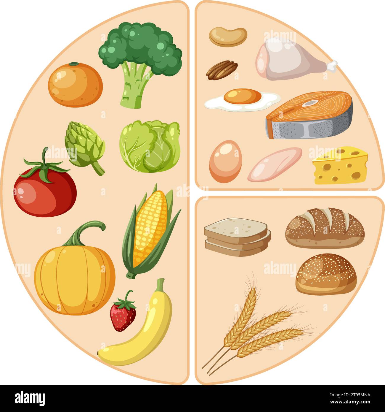 Vector illustration of a group of food divided into different ...