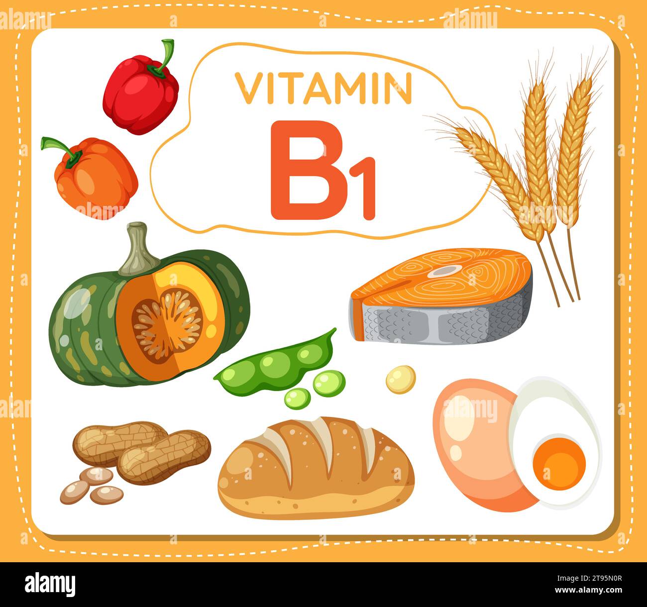 Colorful cartoon illustration showcasing a Vitamin B1 frame banner with ...
