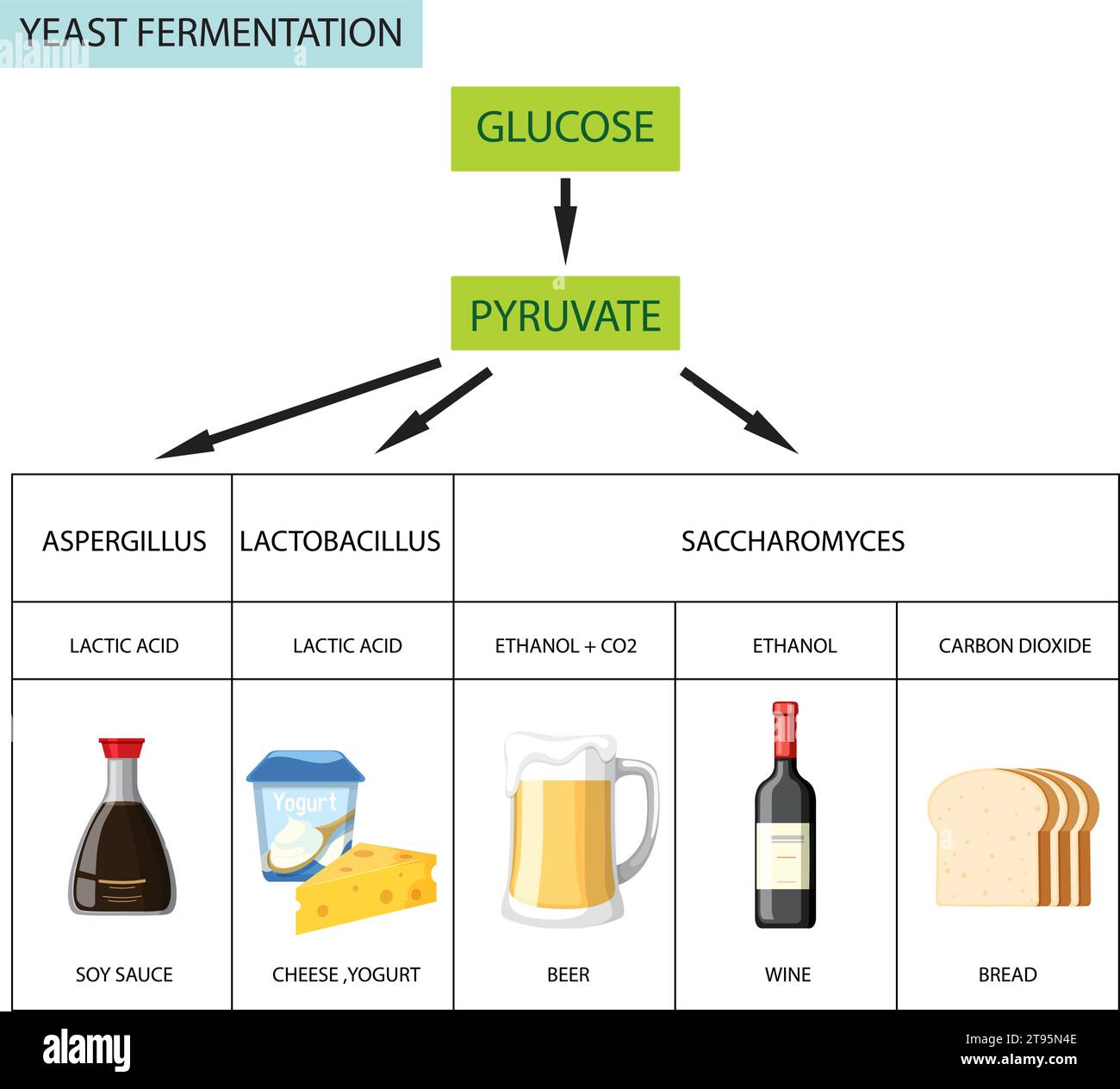 Educational outcomes Stock Vector Images - Alamy