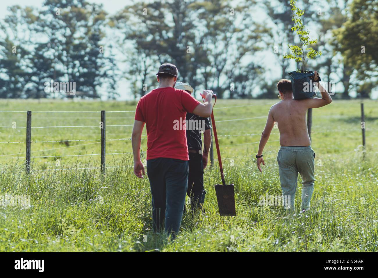 day of work in the countryside, watering plants and shoveling Stock ...