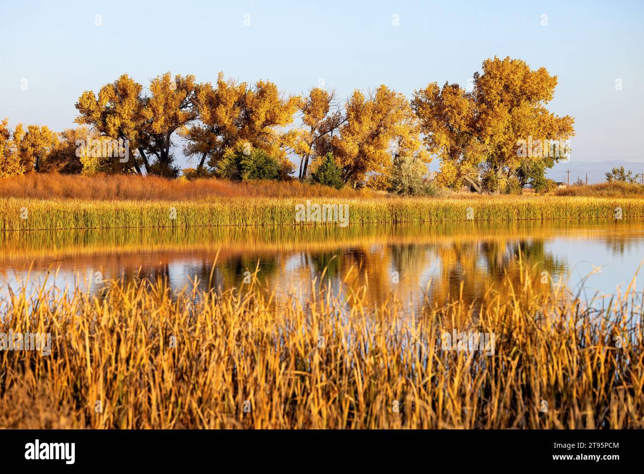 Fall color reflections in Lake Ladora - Rocky Mountain Arsenal National ...
