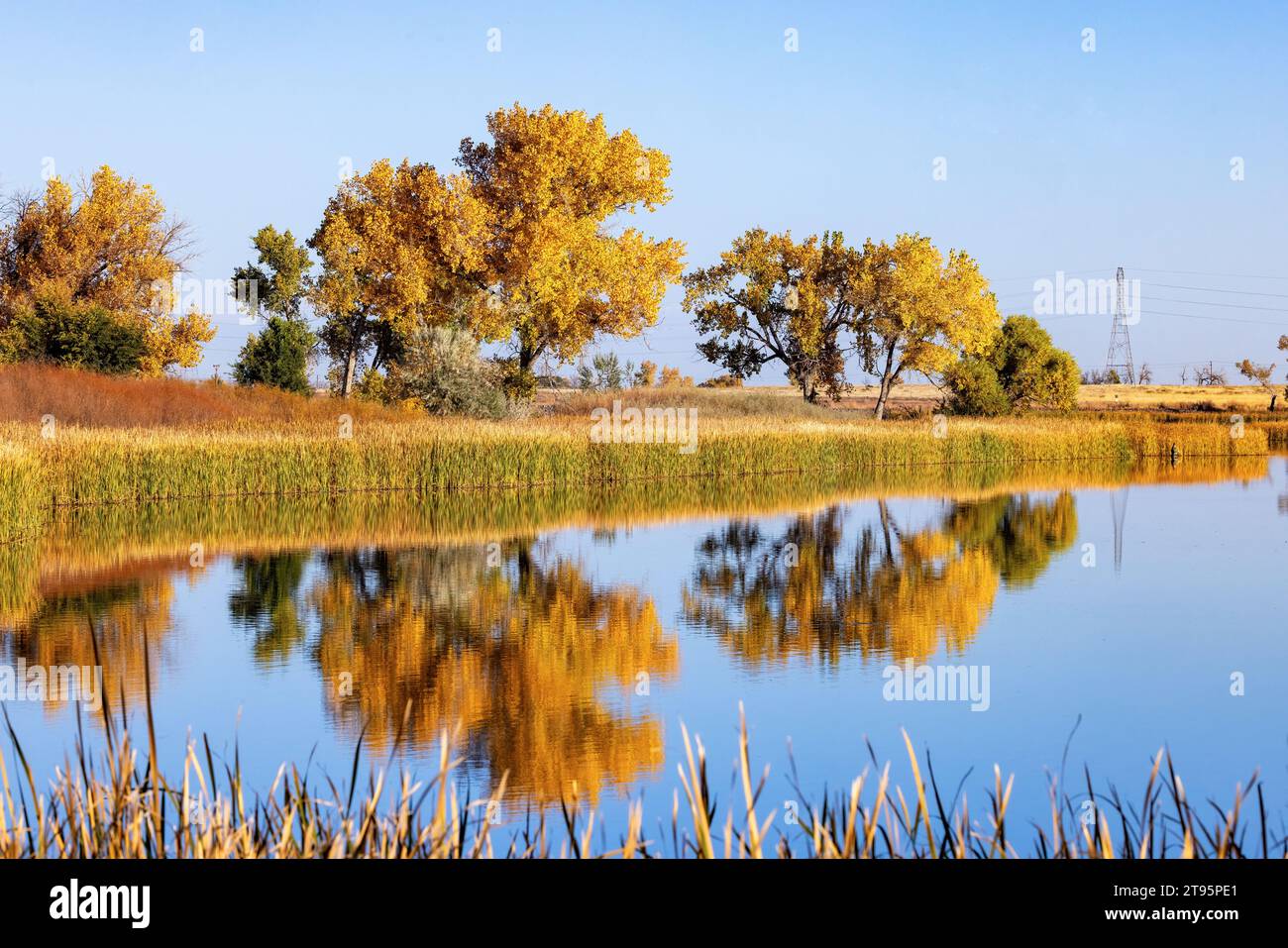 Fall color reflections in Lake Ladora - Rocky Mountain Arsenal National ...