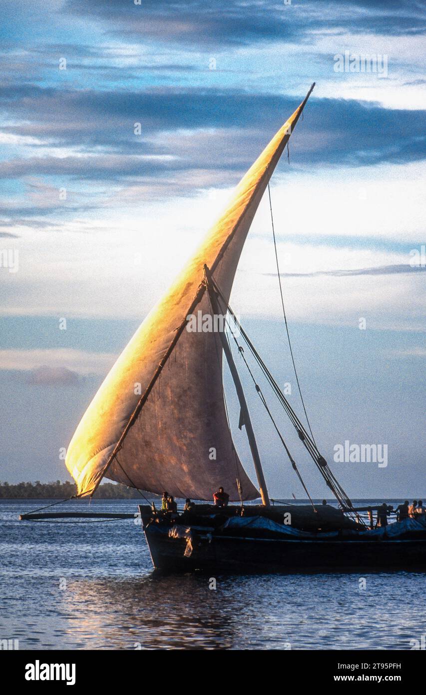 Traditional sailing dhow at dusk, Zanzibar, Tanzania Stock Photo - Alamy
