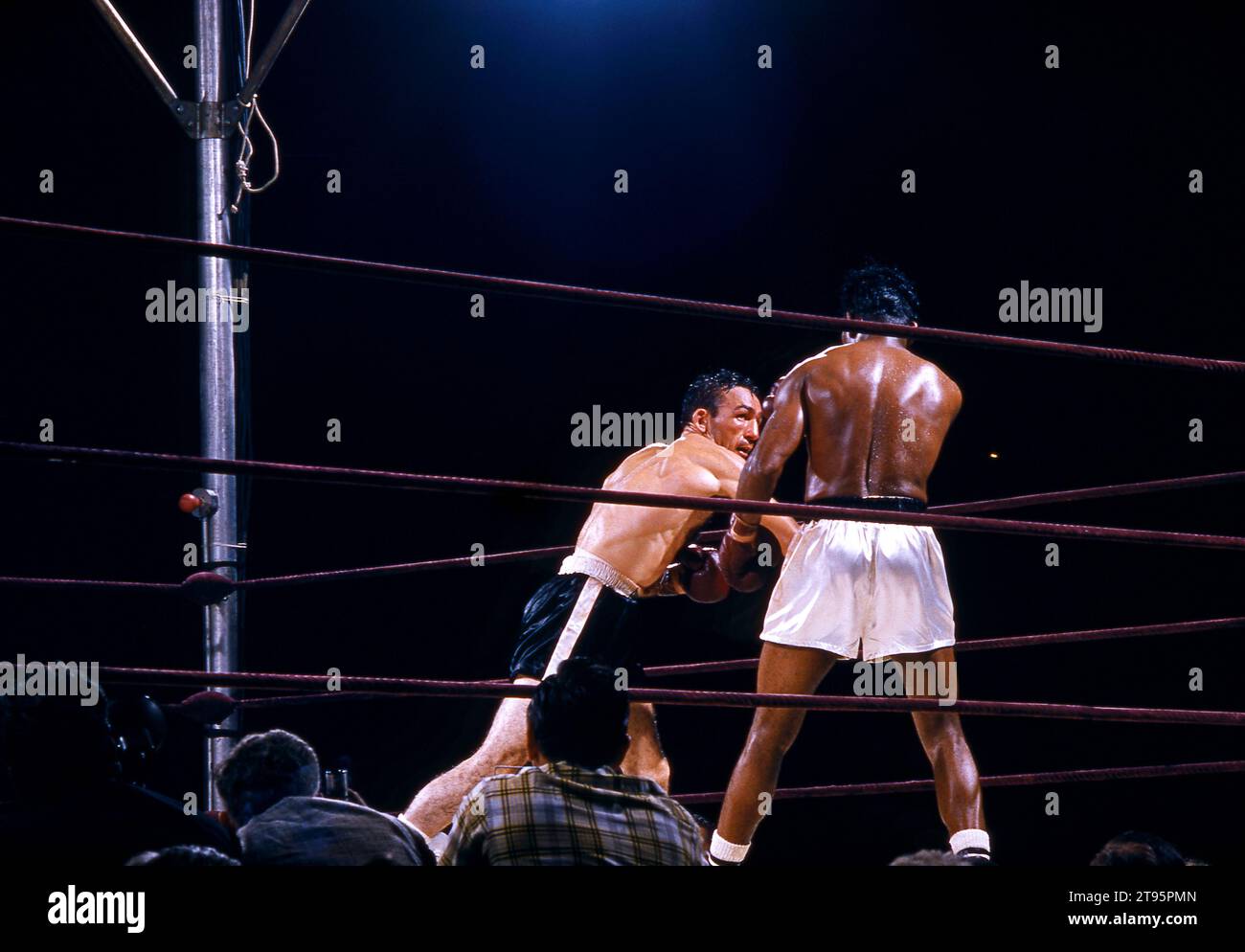 BRONX, NY - SEPTEMBER 23: Carmen Basilio (black trunks) punches Sugar ...