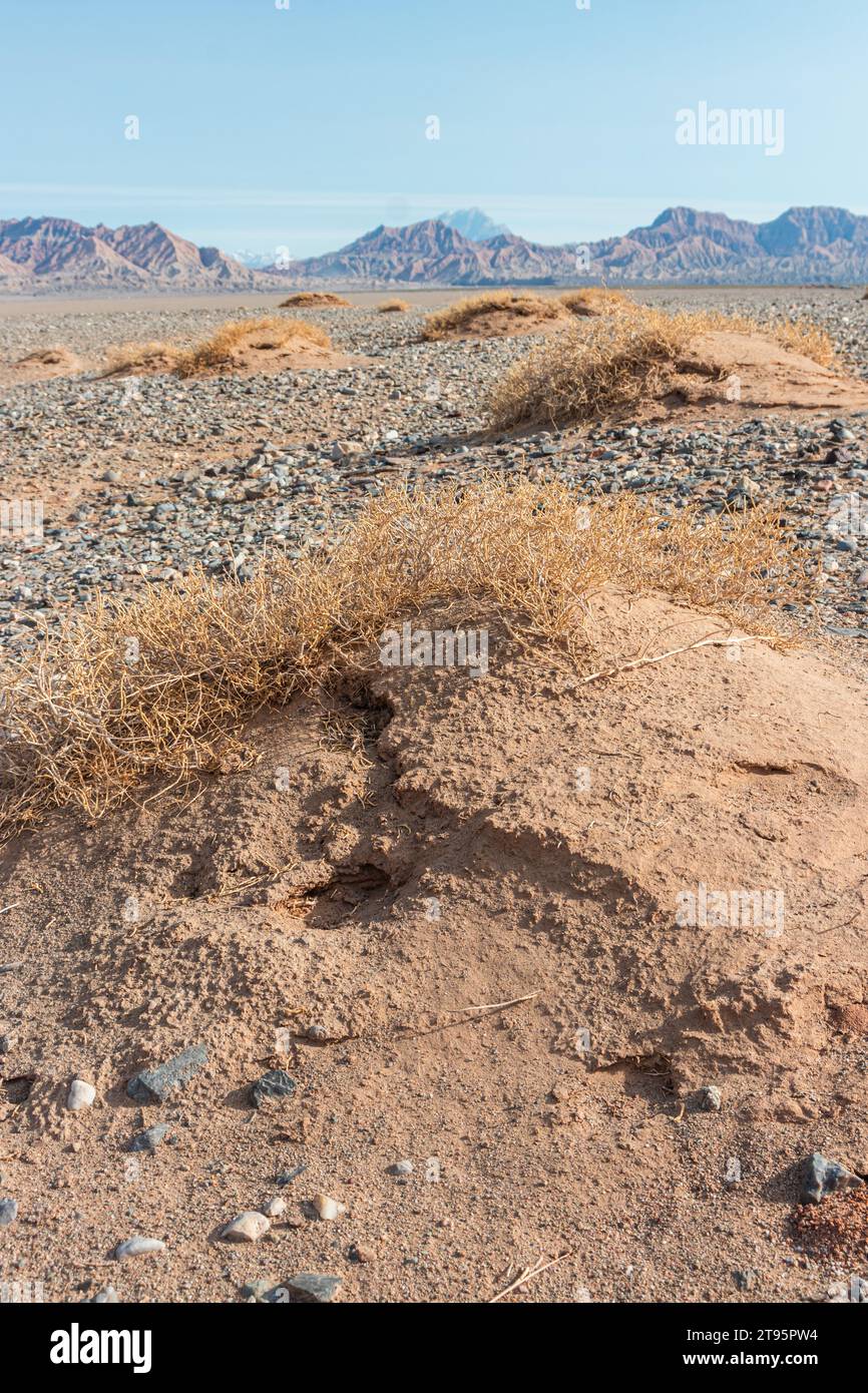The arid and hot deserts of Xinjiang in western China Stock Photo - Alamy